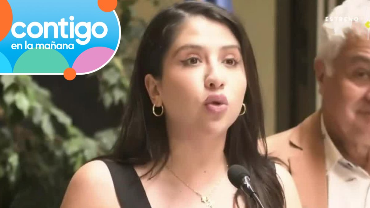 Diputada Consuelo Veloso sufrió robo y fue detenida por conducir en ...