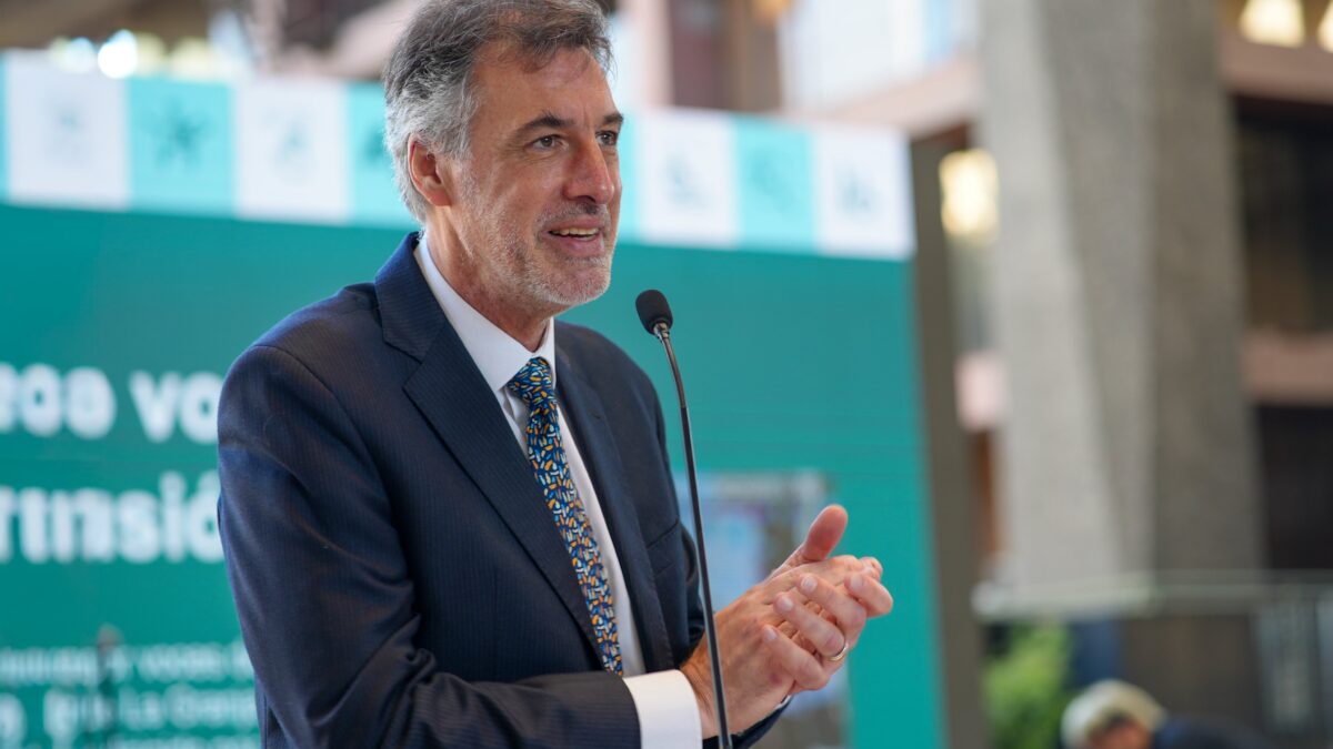 Gobierno solicita la renuncia del director del Senadis, Pedro Goic