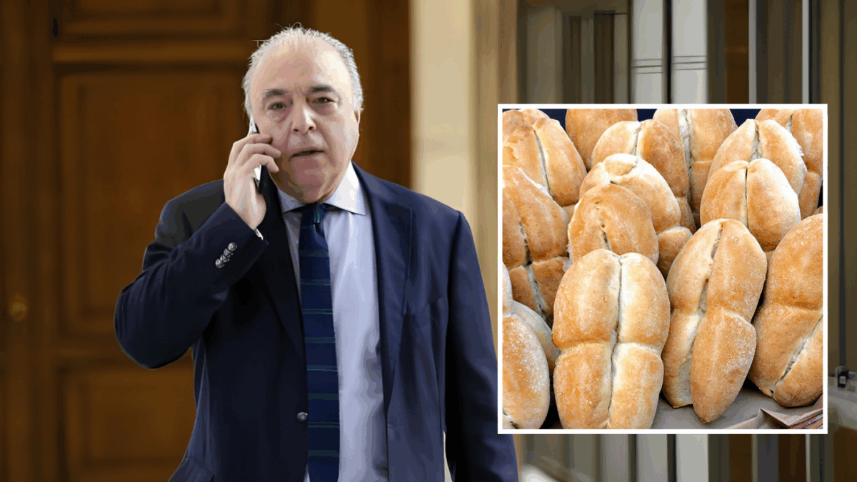 “Tengo pánico”: Diputado de RN advierte que kilo de pan podría superar ...