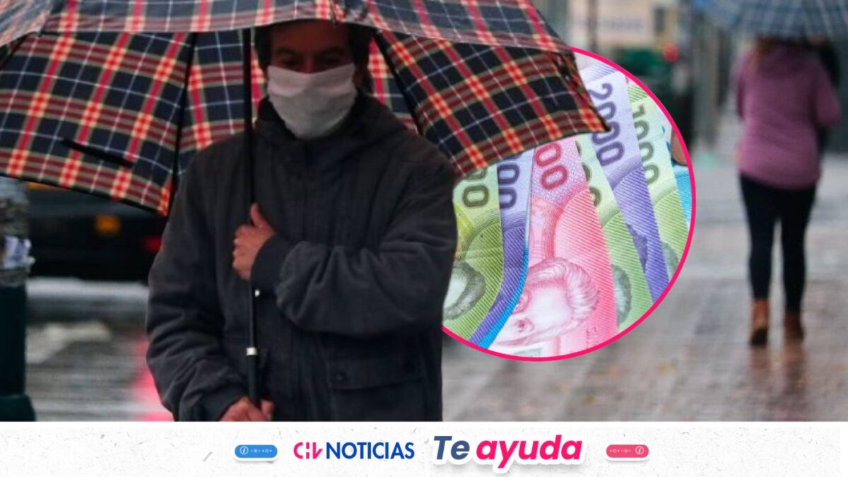 Bono Invierno 2026: Consulta con tu RUT si recibes el pago de los $81. ...